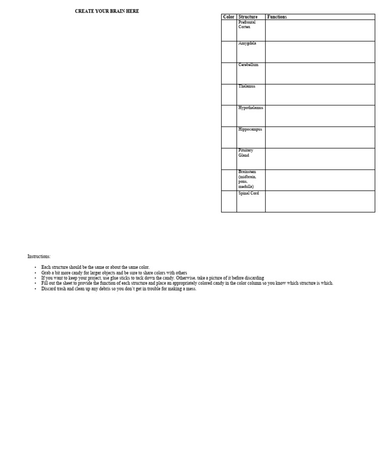 Candy Brain Diagram Function Sheet | PDF