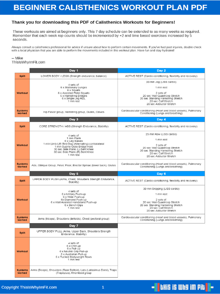 Beginner Calisthenics Workout Plan | PDF