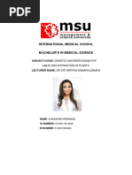 Extraction of DNA Onions | PDF | Cell (Biology) | Cell Nucleus