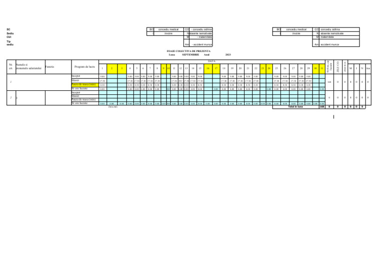 Model - Pontaj 2023 | PDF
