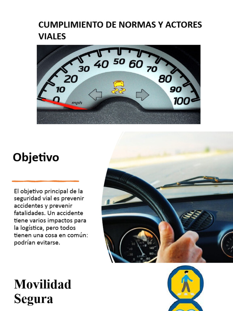Actores Viales | PDF | Peatonal | Seguridad vial