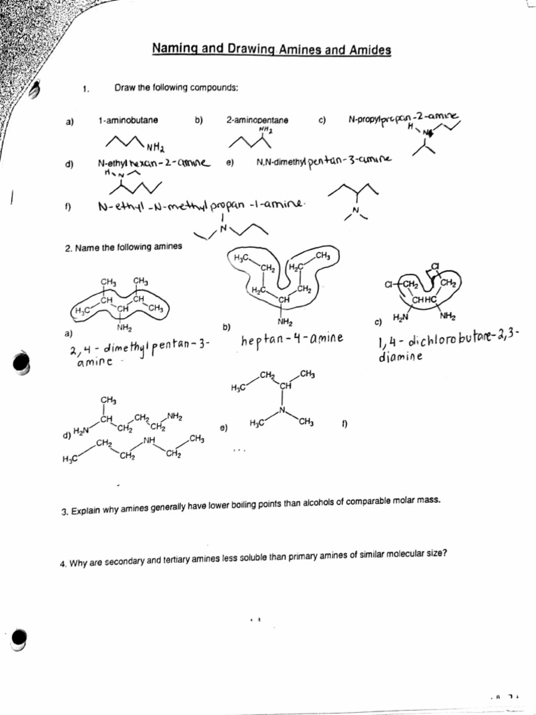 Naming and Drawing Amines and Amides | PDF