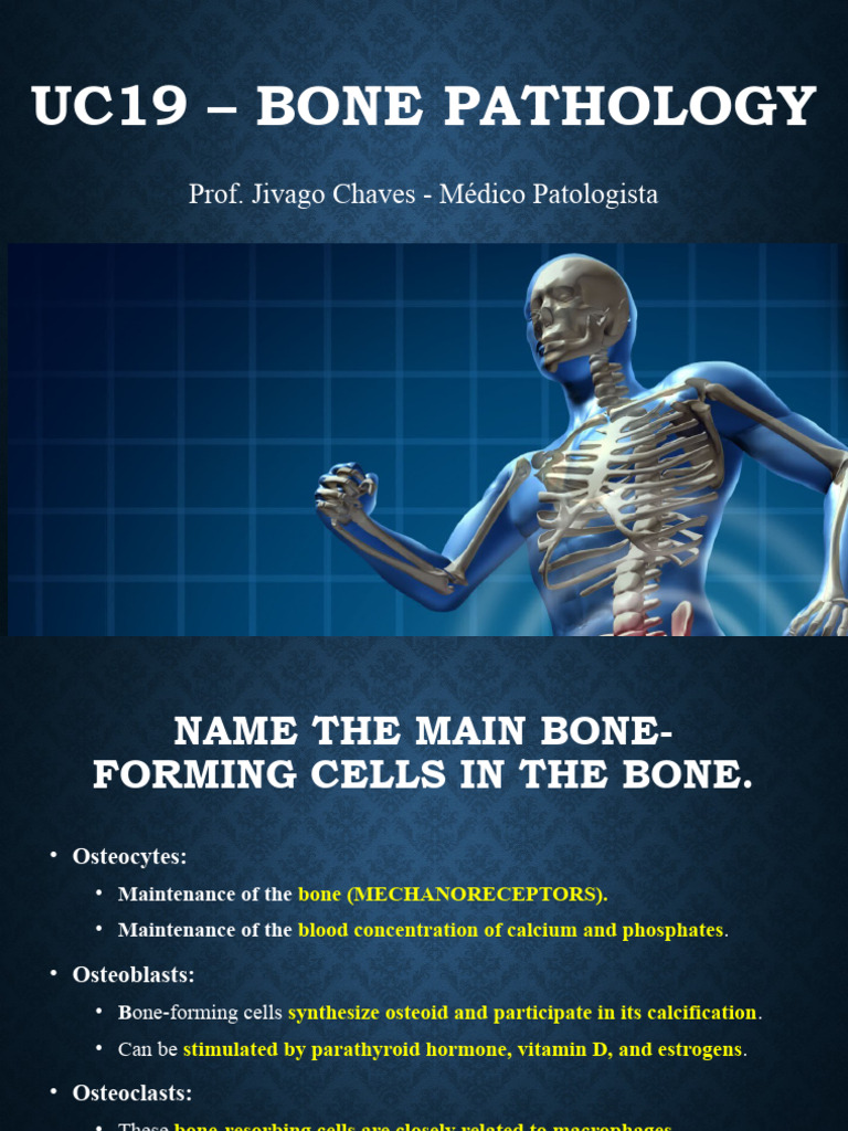 Patologia Do Osso | PDF