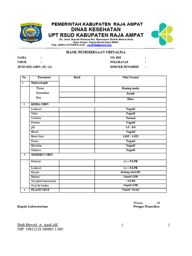 Hasil Urinalisa RSUD Raja Ampat | PDF