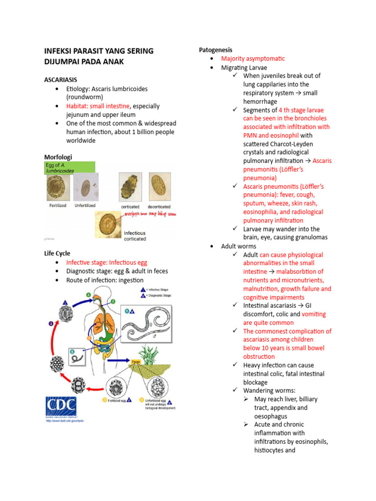 Common Parasitic Infections in Children | PDF