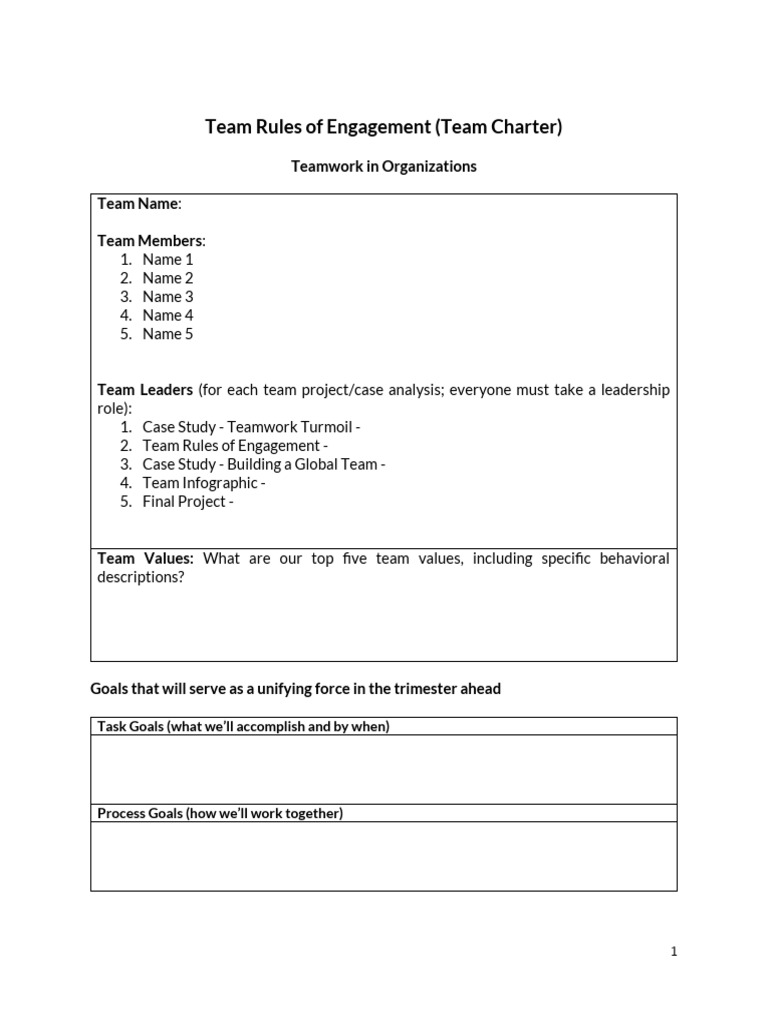 Team Rules of Enagagement | PDF