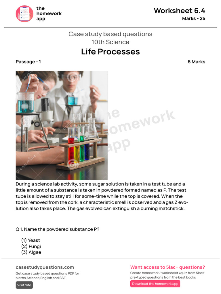 (Worksheet 6.4) - (Life Processes) | PDF