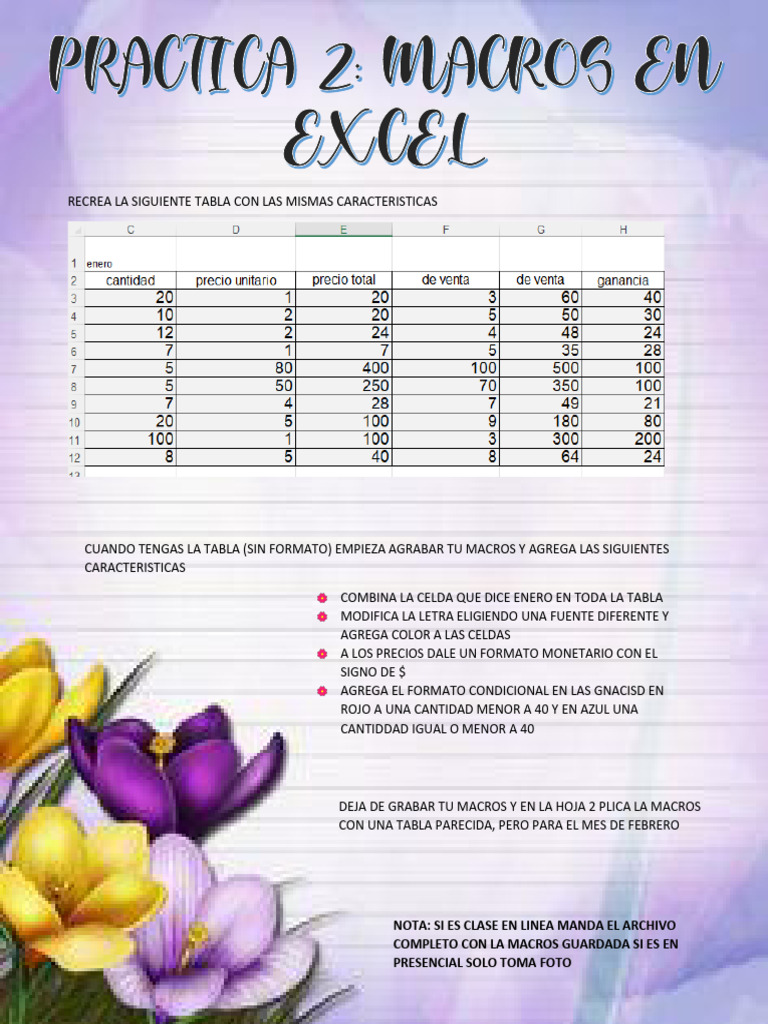 Practica 2 Macros | PDF