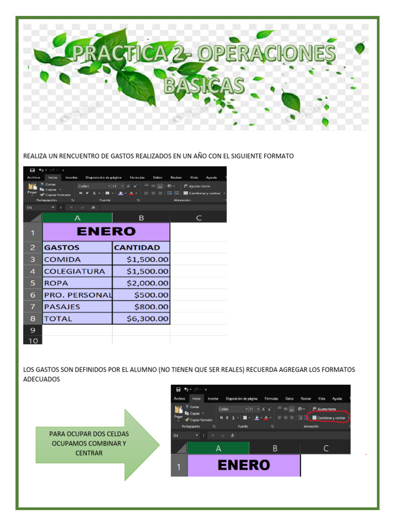 Practica 2 Excel | PDF