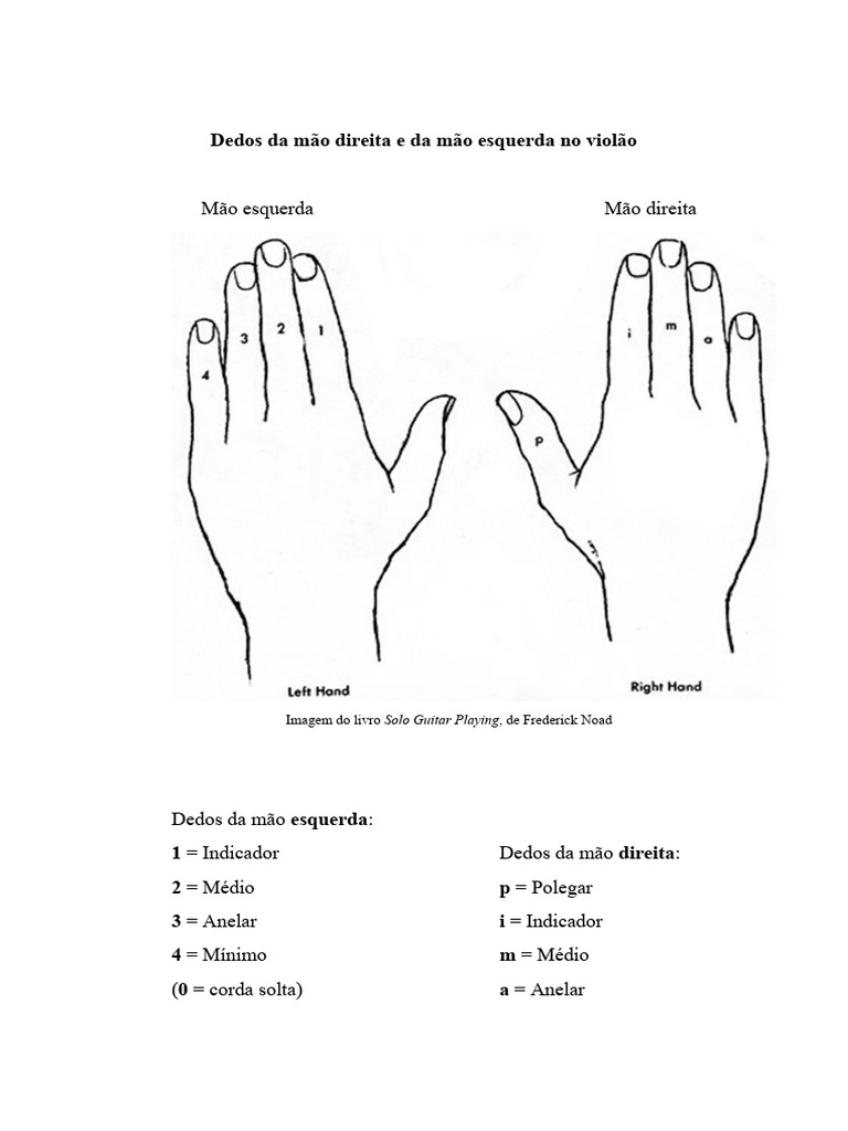 Mão Esquerda e Direita | PDF