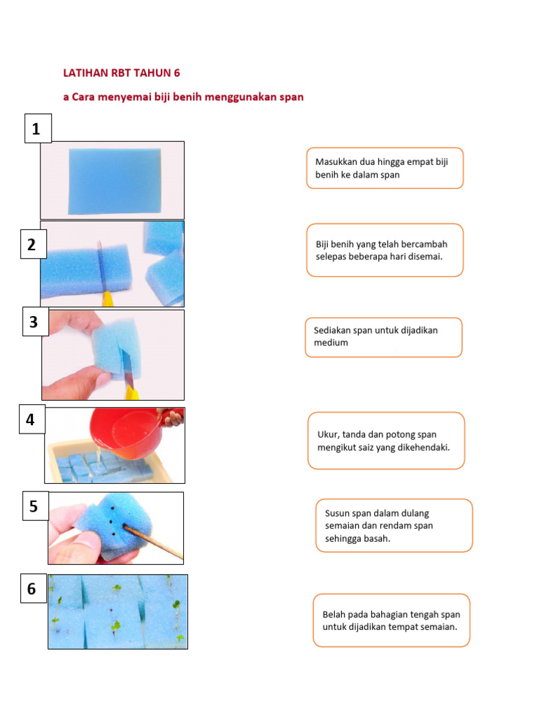 Latihan RBT Tahun 6 Cara Semai Hidroponik | PDF Latihan RBT Tahun 6 Cara Semai Hidroponik | PDF