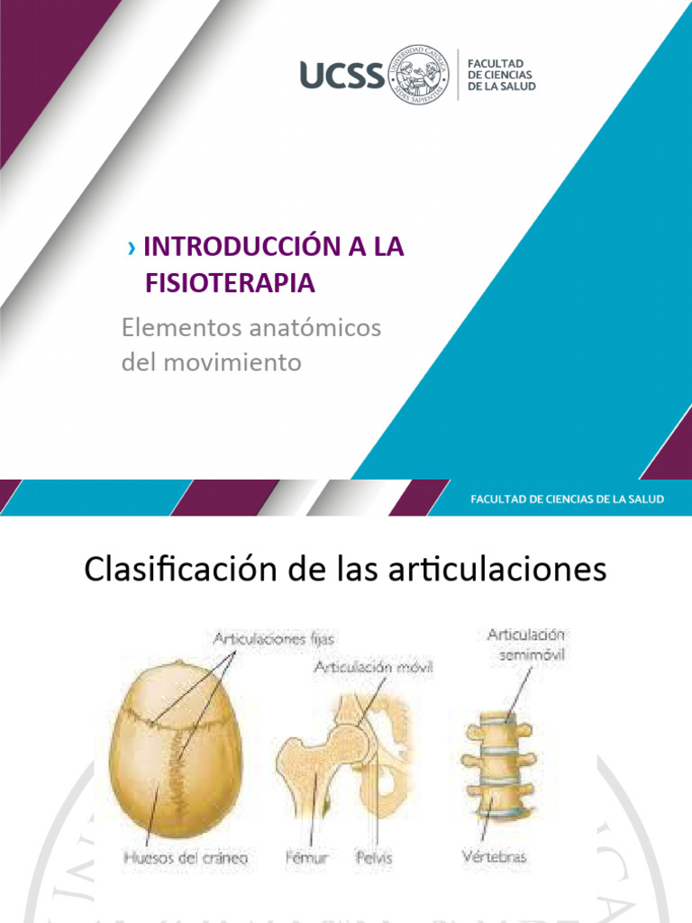 Elementos anatómicos del movimiento | PDF | Articulación | Hueso