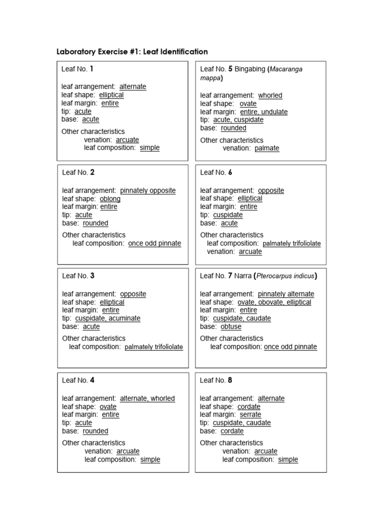 Laboratory Exercise | PDF