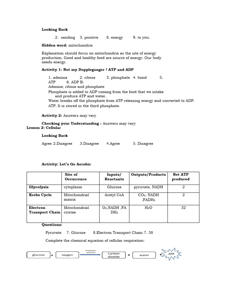 Answer Key For ATP | PDF