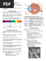 HPE Color Palette and Specifications | PDF | Computing | Communication ...