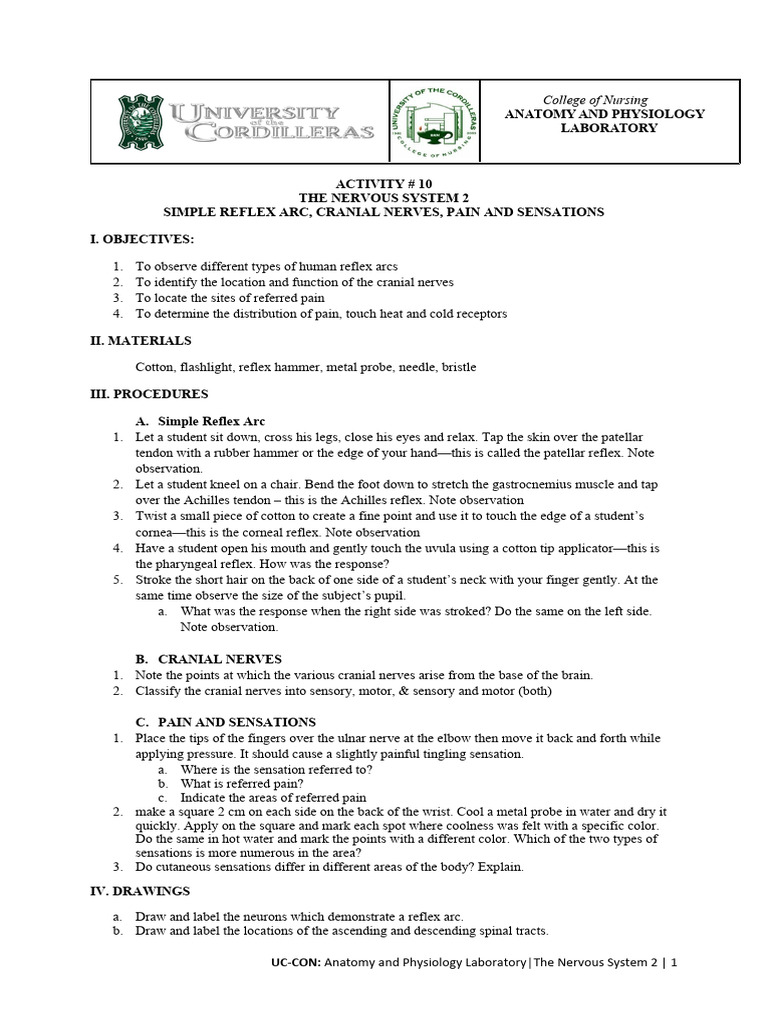 10 The Nervous System 2 | PDF | Self-Improvement