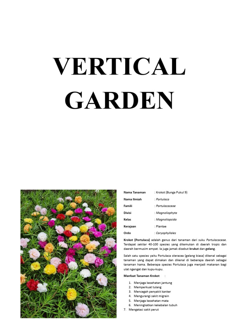 Tanaman | PDF | Griya & Taman | Kesehatan Holistik