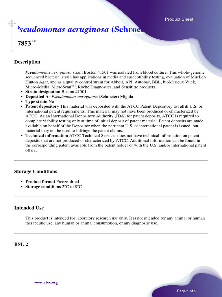 27853 Product Sheet - Pseudomonas Aeruginosa (Schroeter) Migula | PDF ...
