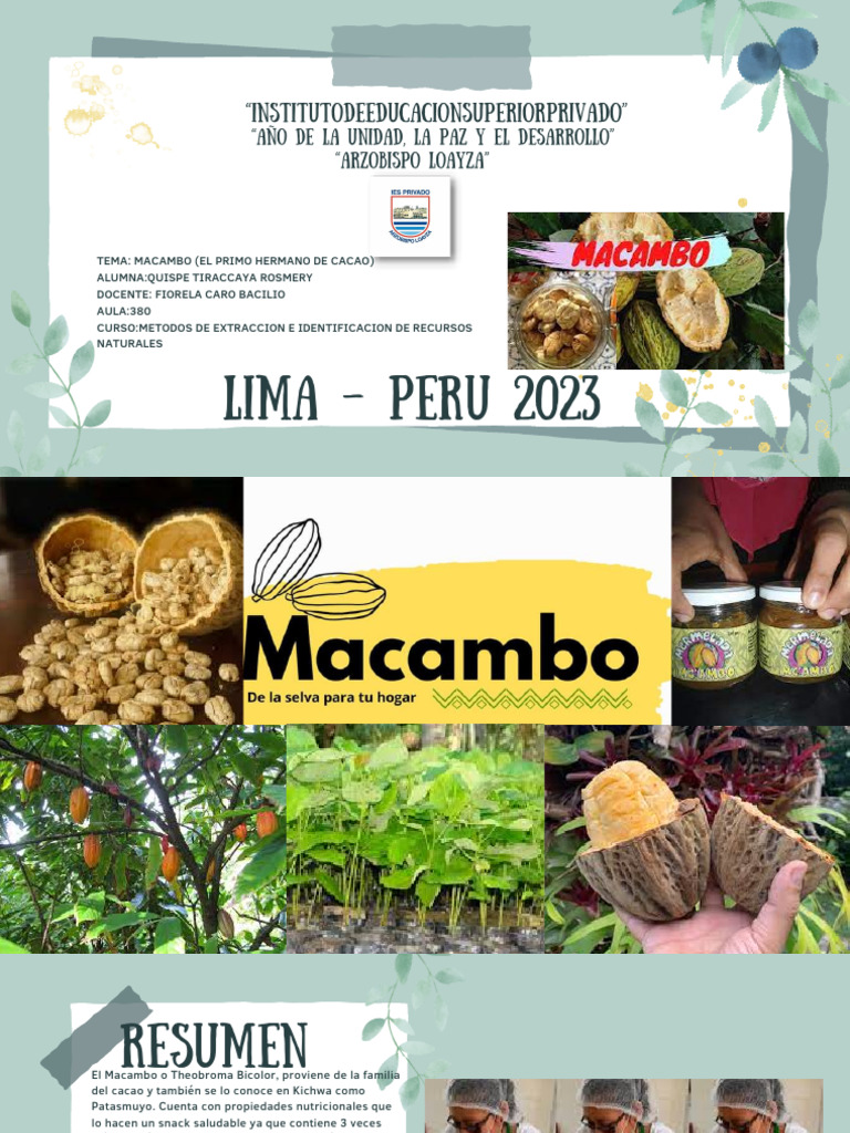 Aula 380-Macambo | PDF | Plantas | Botánica