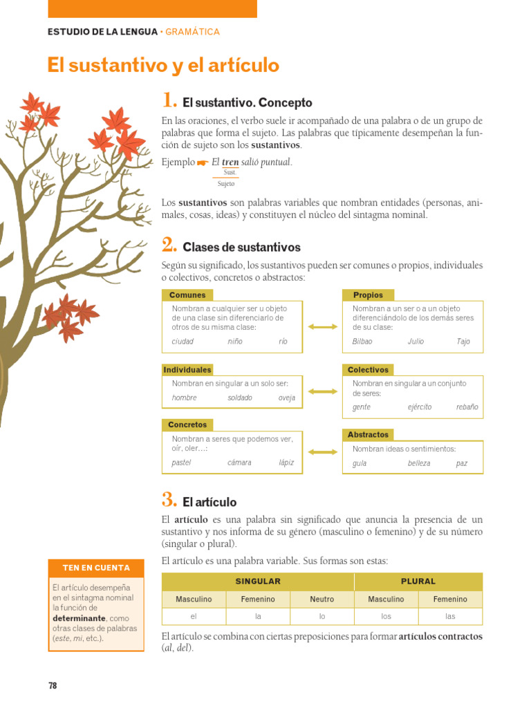 Actividad Sustantivo Articulo | PDF