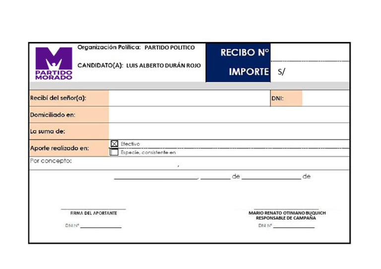 Modelo Boleta Rendicion de Cuentas | PDF