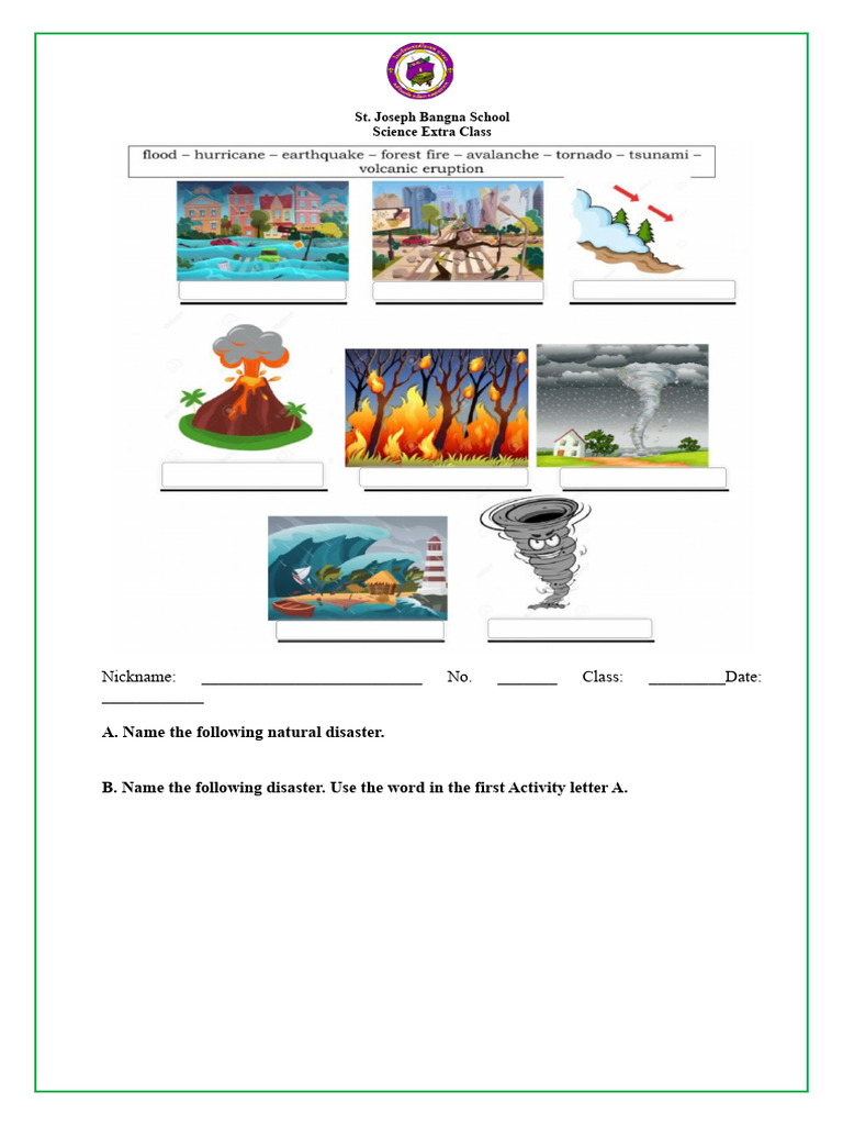 Natural Disaster | PDF