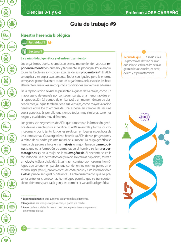 Guia #9 Biologia 8 | PDF