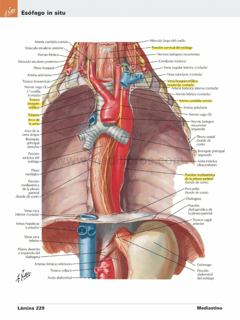 Laminas de Lab 5 de Macro | PDF