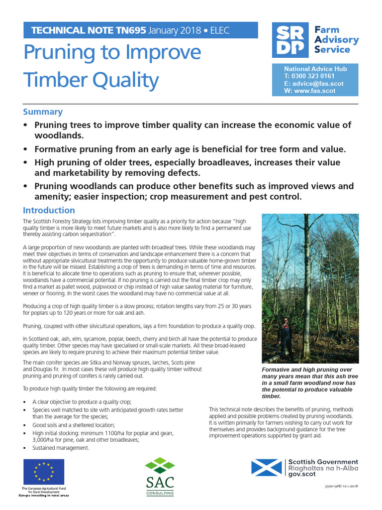 TN695 Pruning To Improve Timber Quality | PDF | Pruning | Wood
