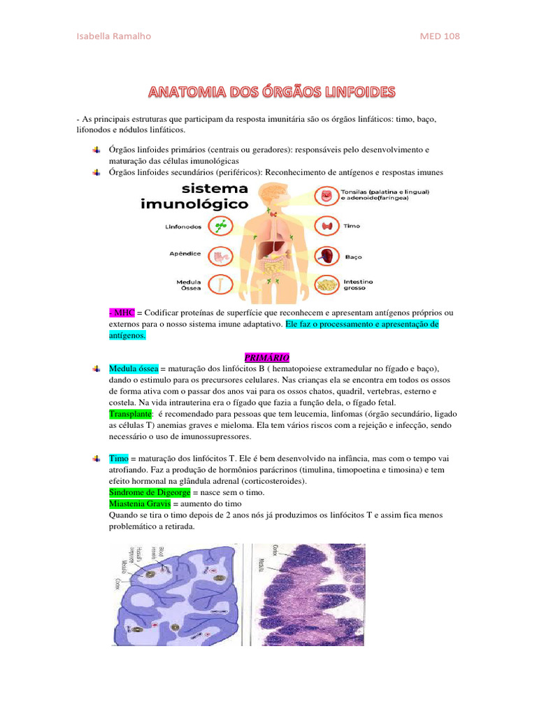 Anatomia dos Órgãos Linfoides e Imunidade | PDF | Timo | Sistema linfático