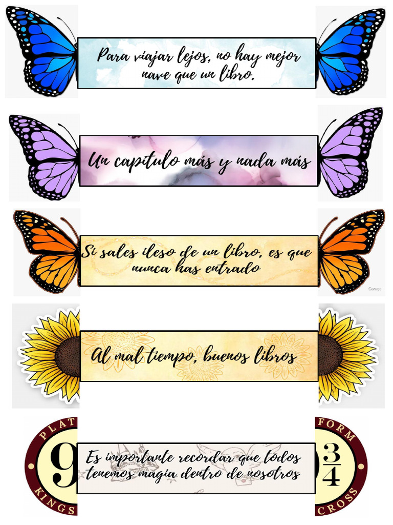 Separador de Libros - PDF Versión 1 | PDF