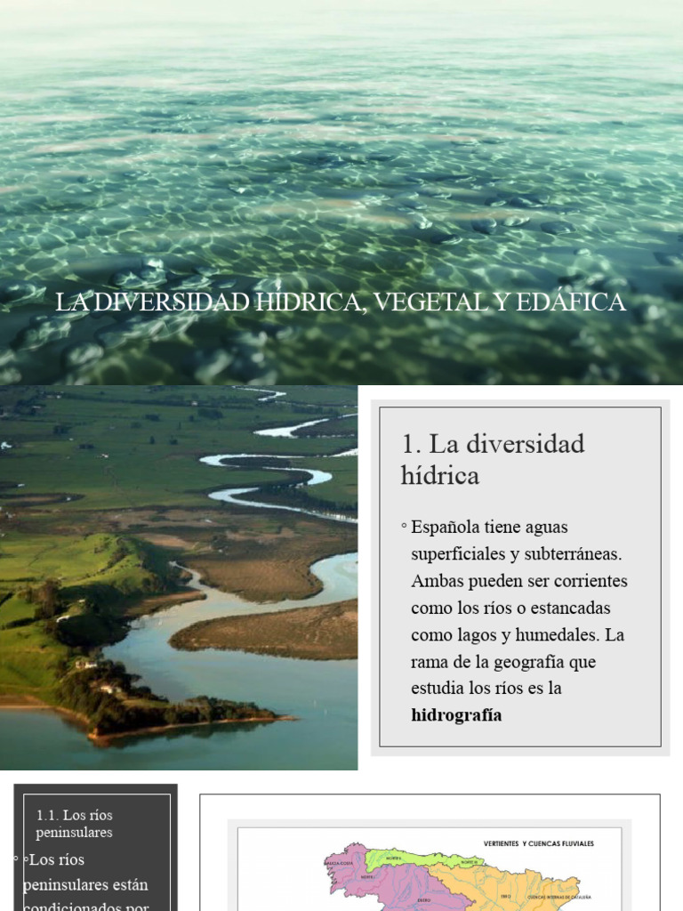 Tema 3. La Diversidad Hidrã Ca, Vegetal y Edã¡fica | PDF