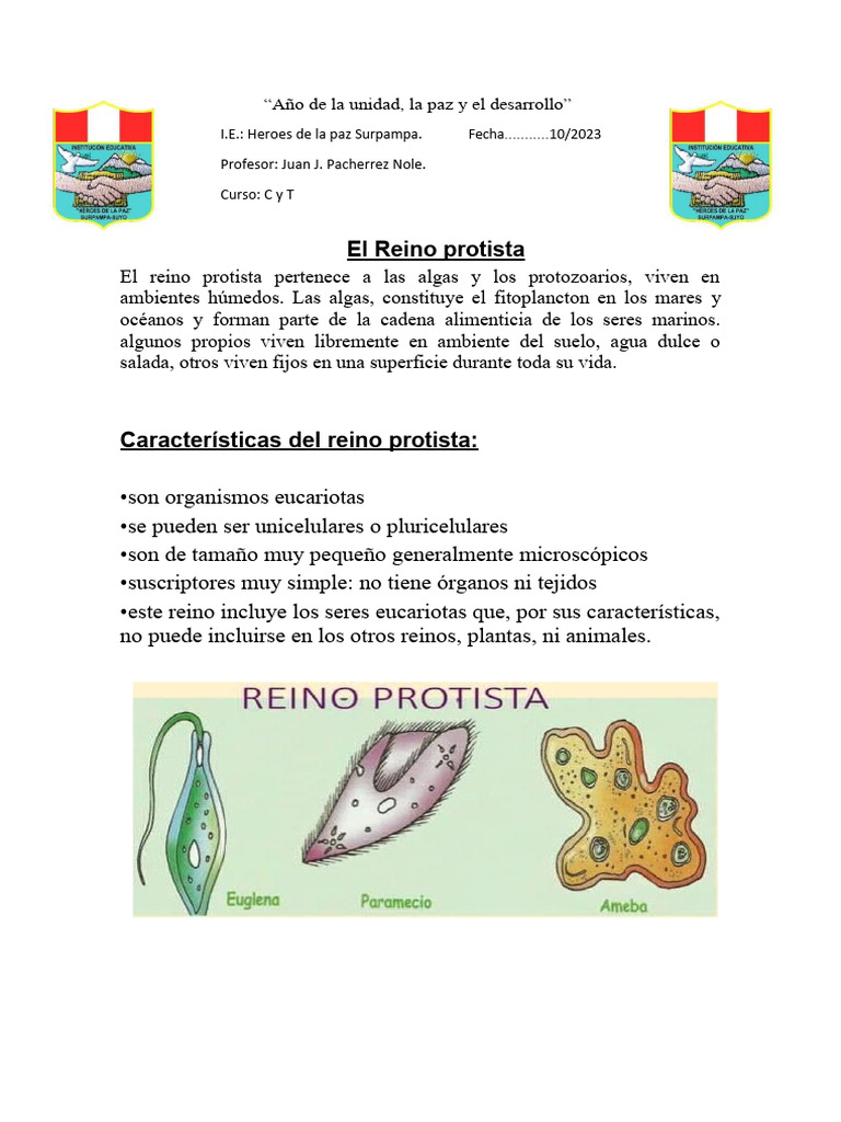 El Reino Protista | PDF
