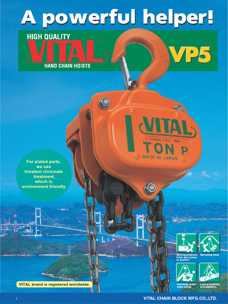 FT Vital Tecle Manual | PDF