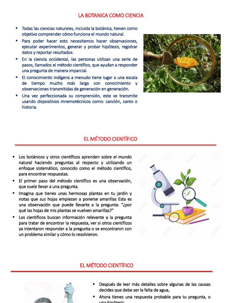 Botanica Como Ciencia | PDF | Botánica | Science