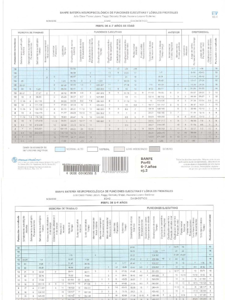 Perfiles BANFE | PDF