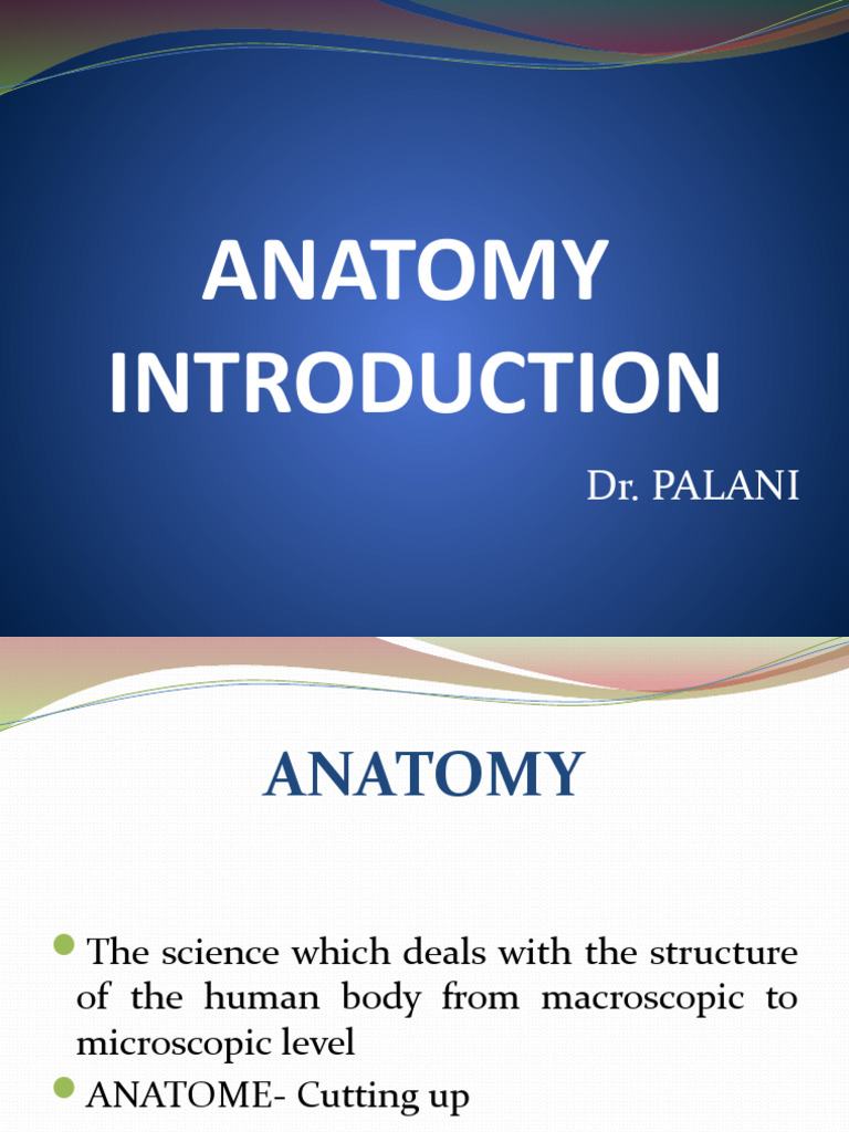 Introduction To ANATOMY | PDF