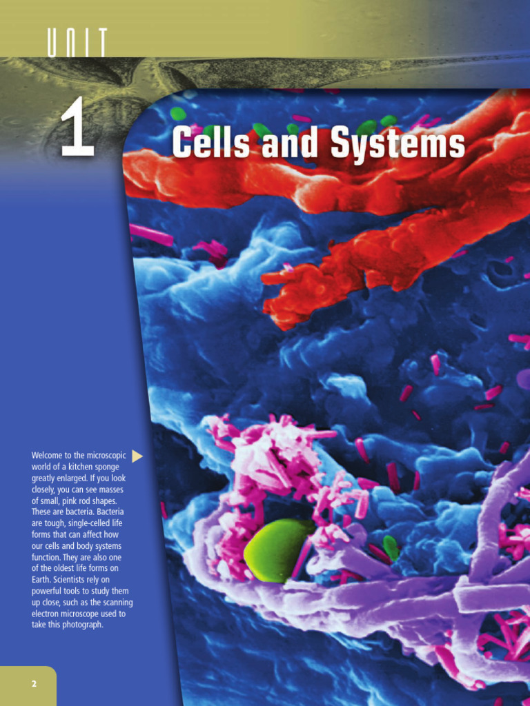 BC Science8 Textbook | PDF | Microscope | Microscopy