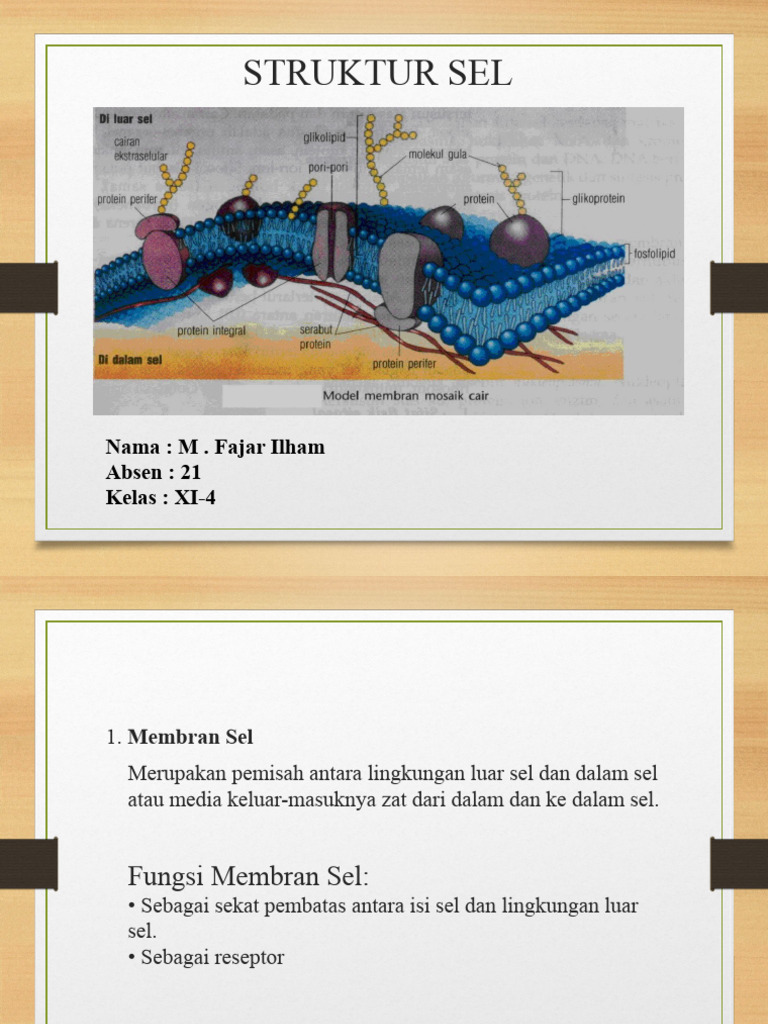 Struktur Sel | PDF | Griya & Taman | Sains & Matematika
