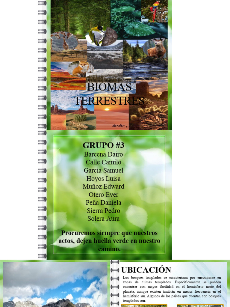 Biomas Terrestres - Grupo 3 | PDF | Ciencias de la Tierra | Geografía ...