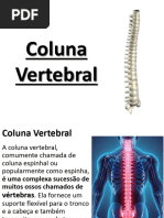 Estrutura e Função da Coluna Cervical | PDF | Coluna vertebral | Vértebra