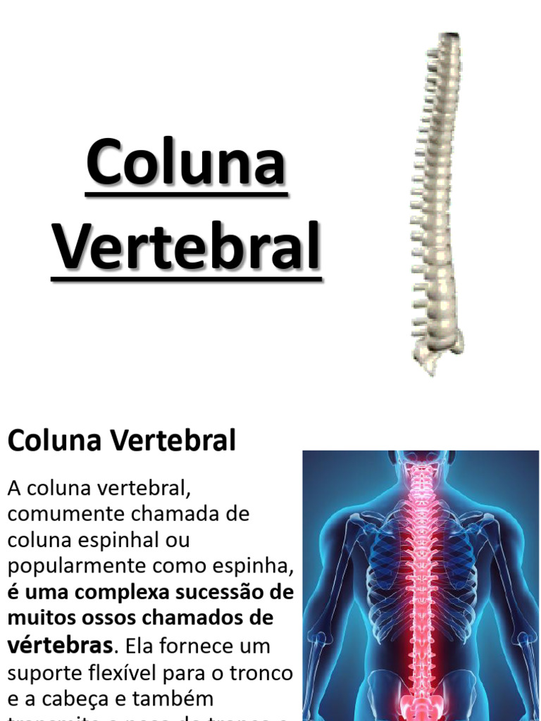 Coluna Vertebral | PDF | Ciências Sociais