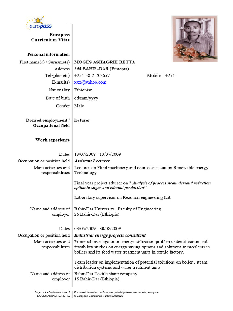 Sample Curriculum Vitae in Detail | PDF