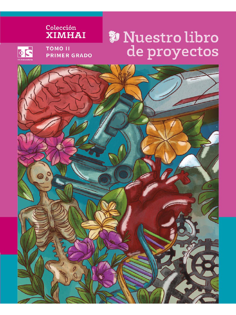 Llibro de Proyectos Tomo II | PDF