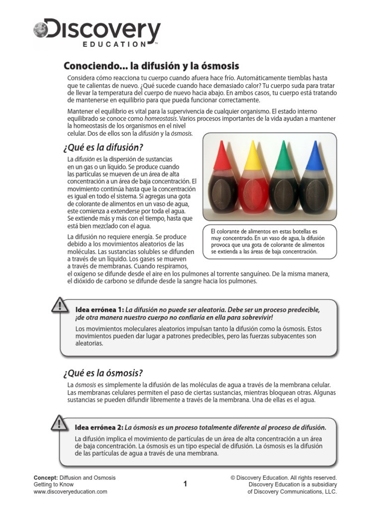 Difusión y Ósmosis: Procesos Esenciales | PDF