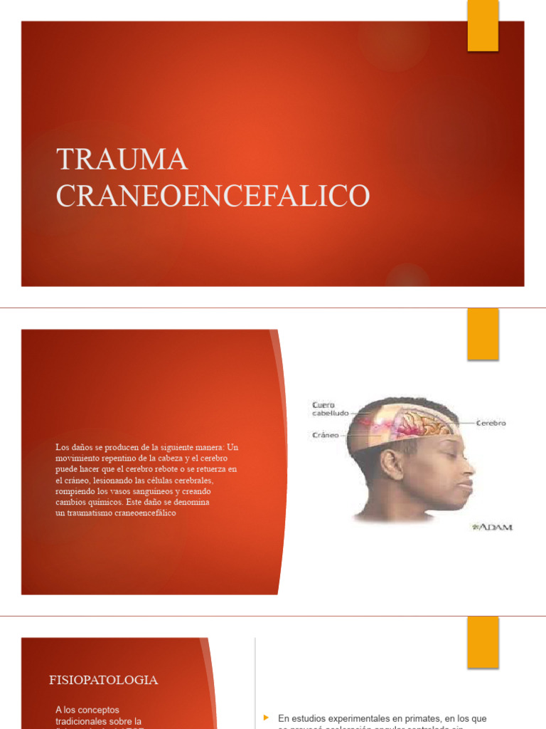 Trauma Craneal: Causas y Tratamiento | PDF | Lesión cerebral traumática ...