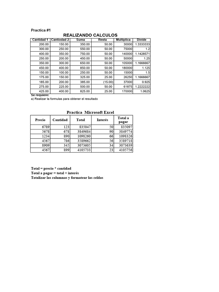 Practica Excel | PDF