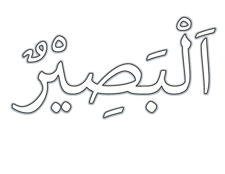 GraDE 1 Al-Basir Activity | PDF