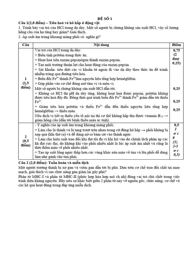 Tài Liệu Ôn Thi HSG | PDF