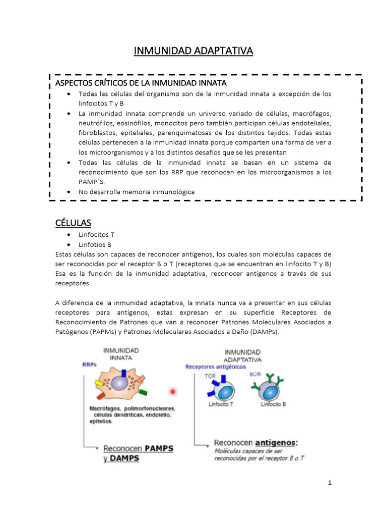 Inmunidad Adaptativa | PDF | Sistema inmune | Antígeno